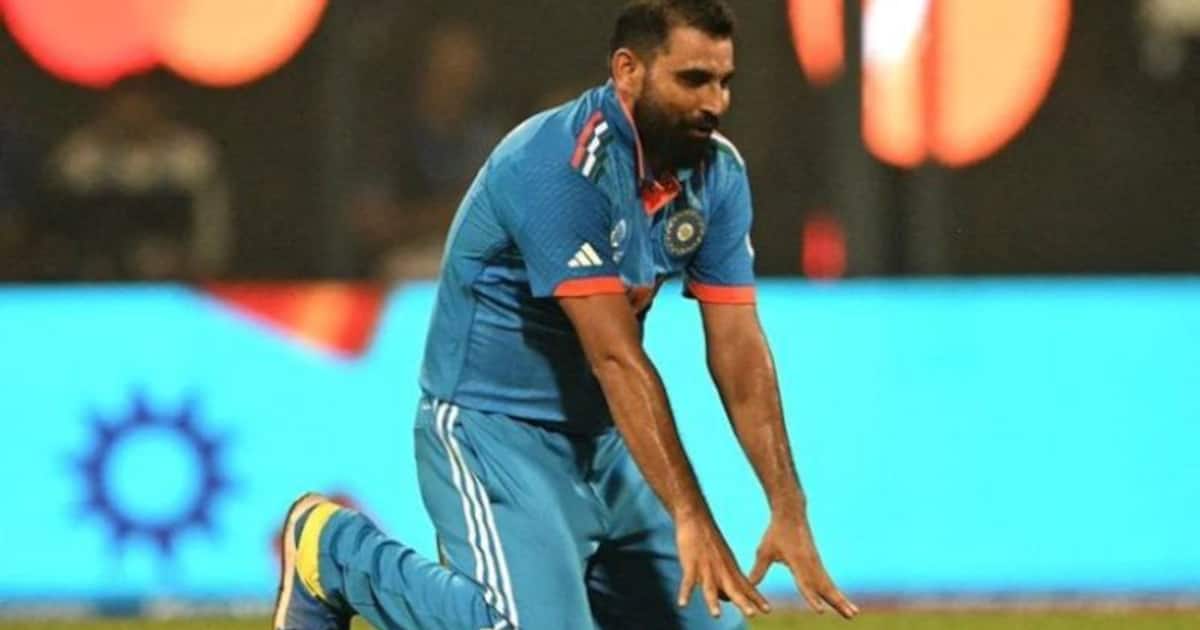 IND vs NZ WC semifinal: After dropping Williamson, Shami strikes back ...