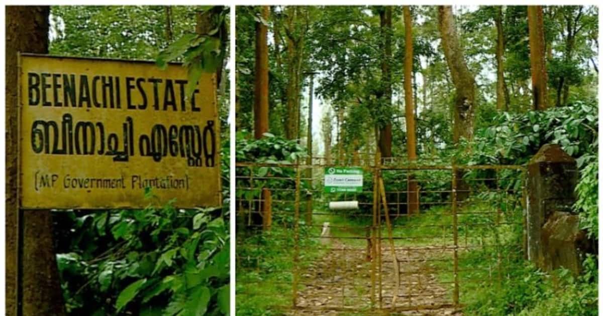 Madhya Pradesh government owns estate in Kerala's Wayanad; Here's how