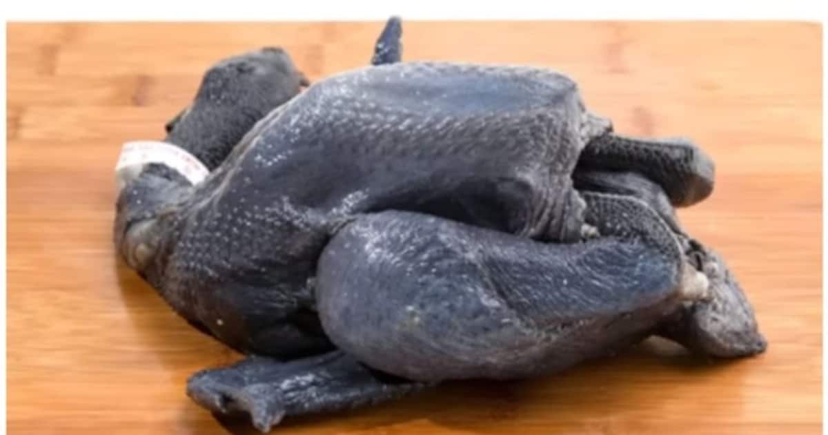 Lamborghini chicken: ലോകത്തിലെ ഏറ്റവും ചെലവേറിയ 'ലംബോർഗിനി ചിക്കന്‍റെ ...