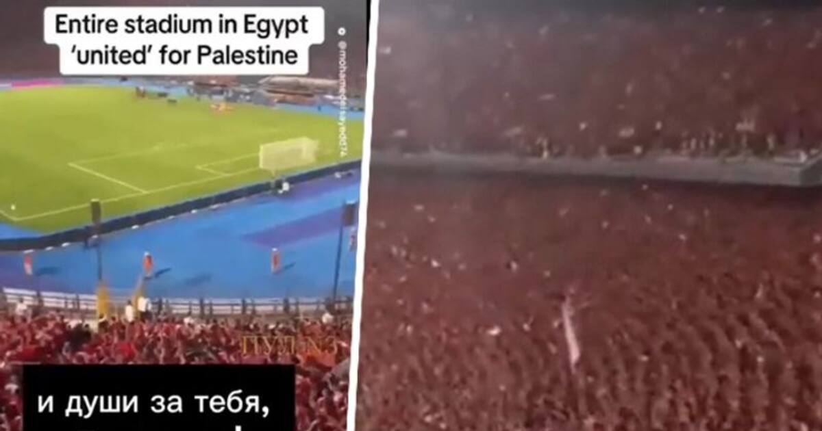 Viral Video: Egyptian football stadium erupts with chants of solidarity ...