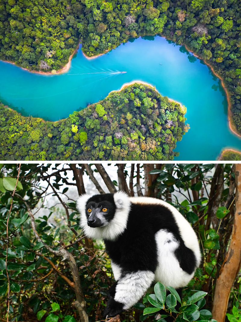 Amazon to Congo Basin rainforest: 7 evergreen rainforests in the world