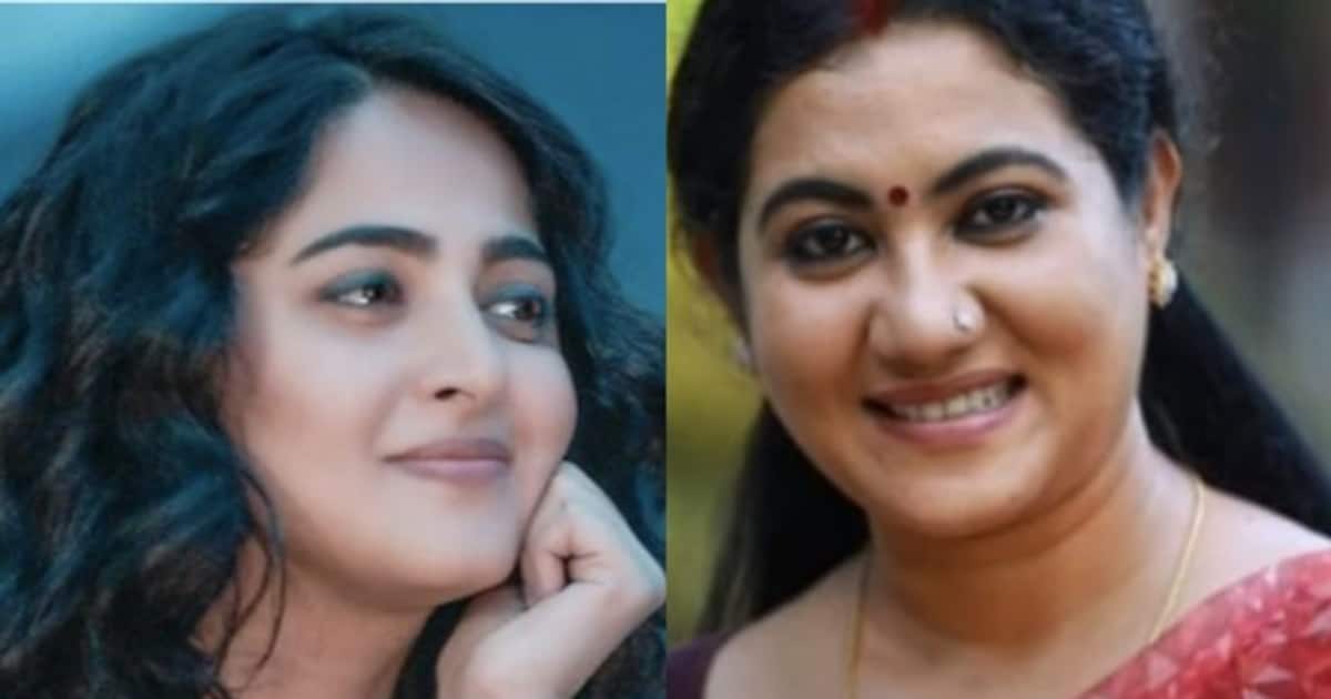 Divya Binu: അനുഷ്‍കയുടേതും സാന്ത്വനത്തിലെ സാവിത്രിയുടെ ശബ്‍ദം