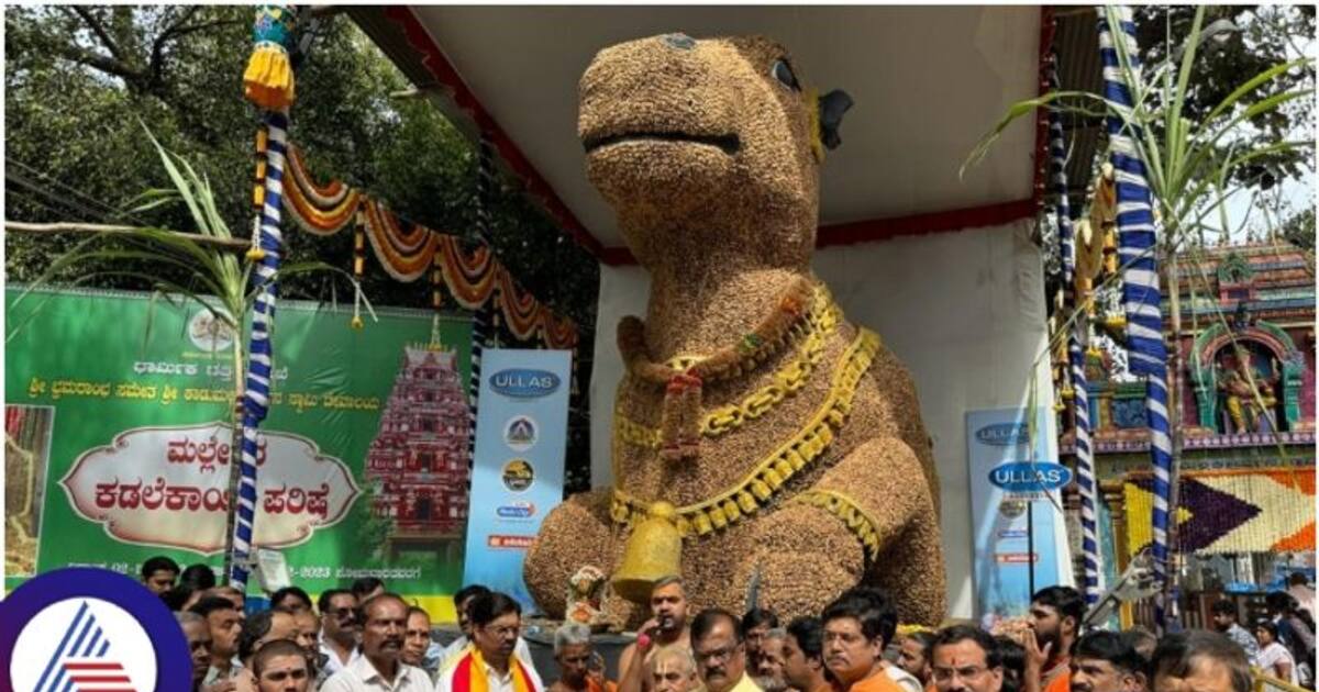 Bengaluru gears up for historic Kadalekai Parishe (Groundnut fair) from ...