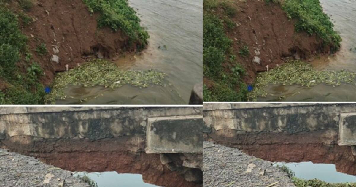 Puzhal Lake: புழல் ஏரியின் கரை உடையும் அபாயம்.. பீதியில் பொதுமக்கள்..!