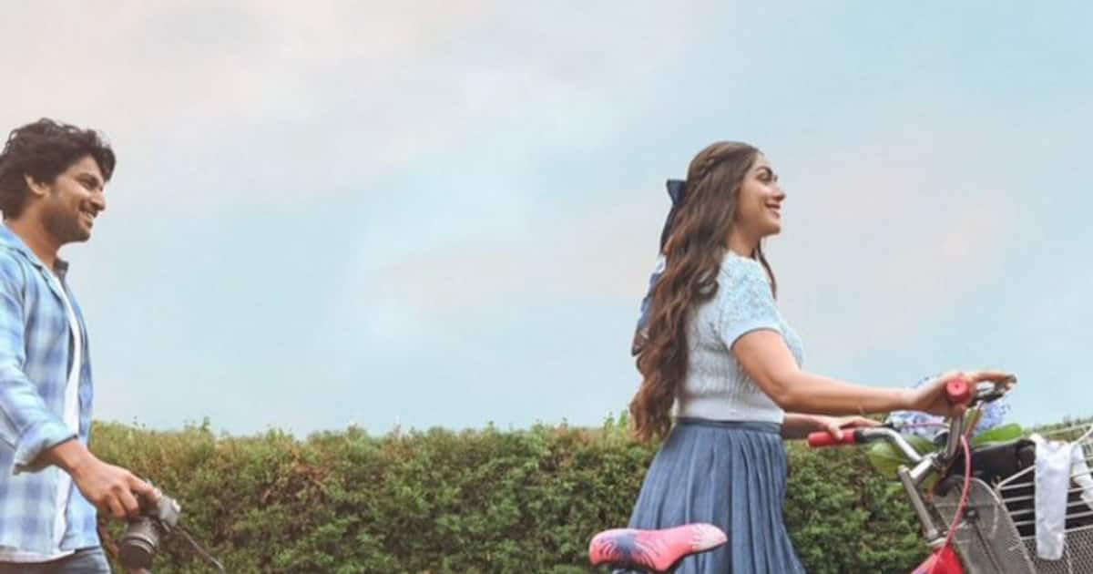 Hi Nanna box office:വമ്പൻമാരെത്തും മുന്നേ നേട്ടമുണ്ടാക്കുന്ന നാനി ...