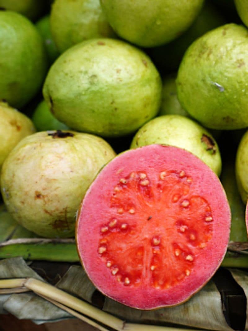 Red Guava Benefits : "சிவப்பு கொய்யா" சர்க்கரை நோயாளிகளுக்கு கடவுள் ...