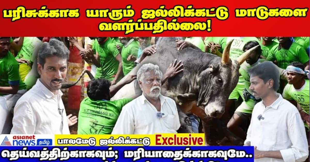 Palamedu Jallikattu | தமிழனுக்கு பிடித்தது மாட்டுப் பொங்கல் - மாடுதான் ...