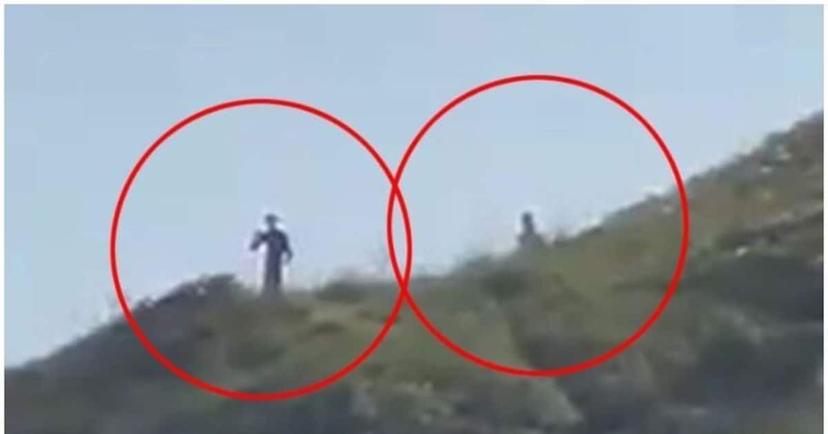 SHOCKING! Two 'aliens' spotted in Brazil, photo goes viral; here's what ...