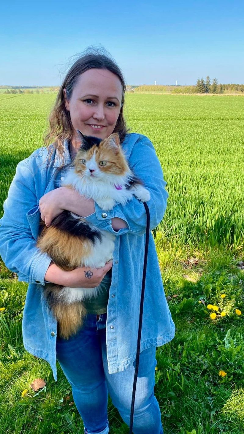 Cat Parenting: Spending Rs 15 lakh annually for a feline companion