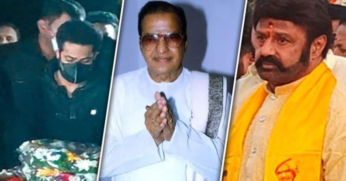 NT Rama Rao's death anniversary: Jr NTR, Nandamuri Balakrishna, Kalyan ...