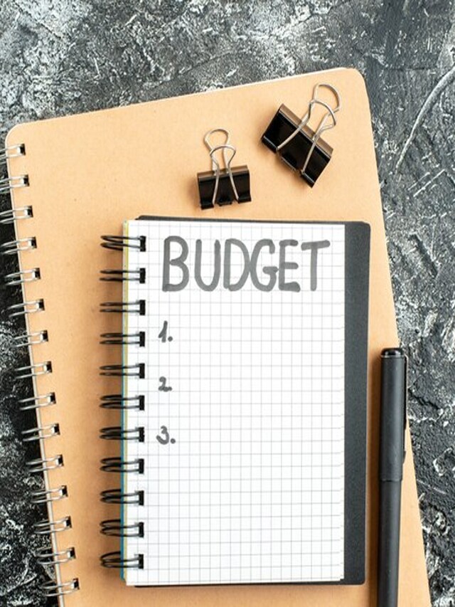 Interim Budget 2024: Where did the word 'Budget' come from?