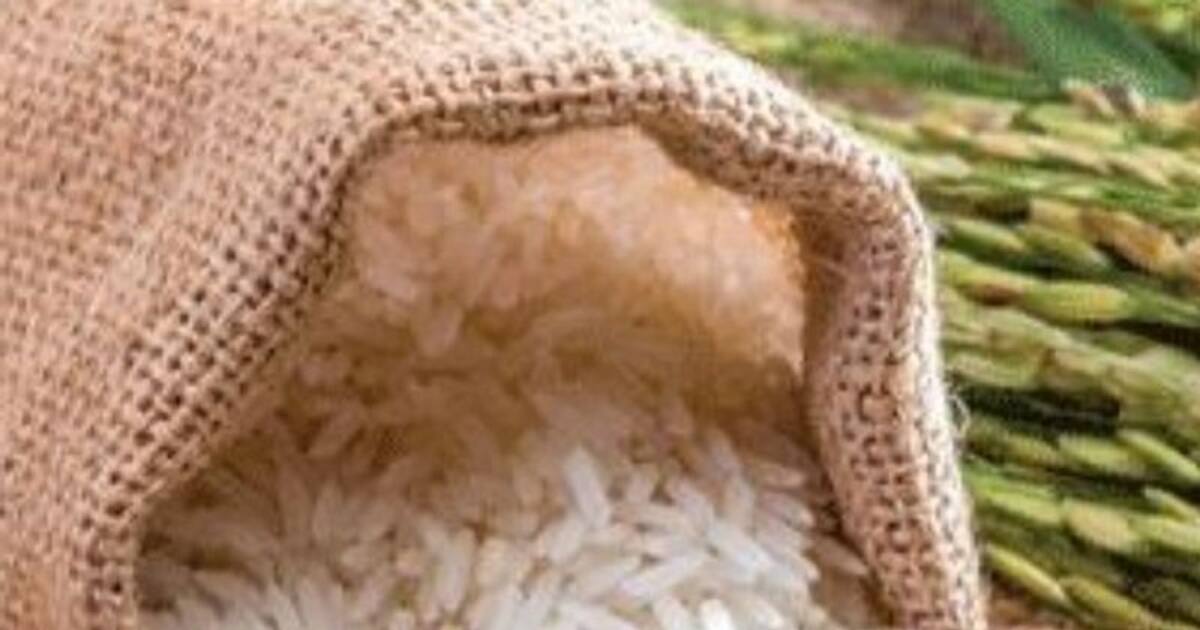 Kerala: Sale of Sabari K-Rice to be launched by CM Pinarayi Vijayan ...