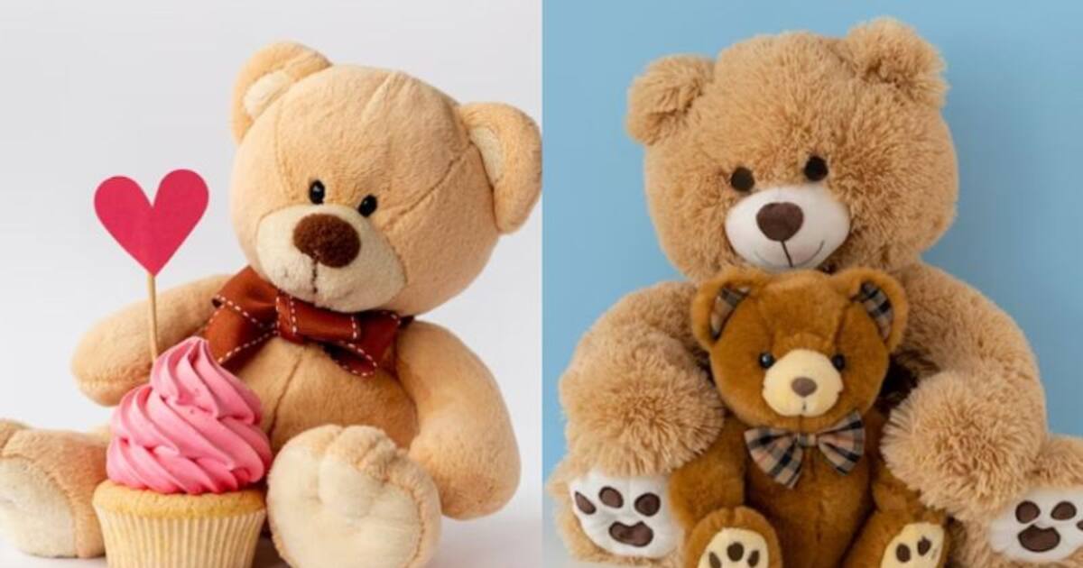 Teddy Day 2024: What, why and when do we celebrate this day