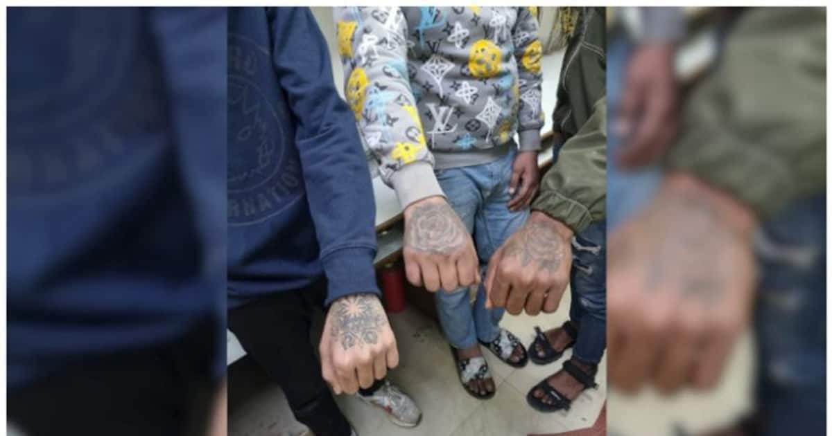 Rose gang trapped എല്ലാവരും കൈയിൽ റോസാപ്പൂവ് പച്ചകുത്തും, മോഷണം നടത്തിയ ...