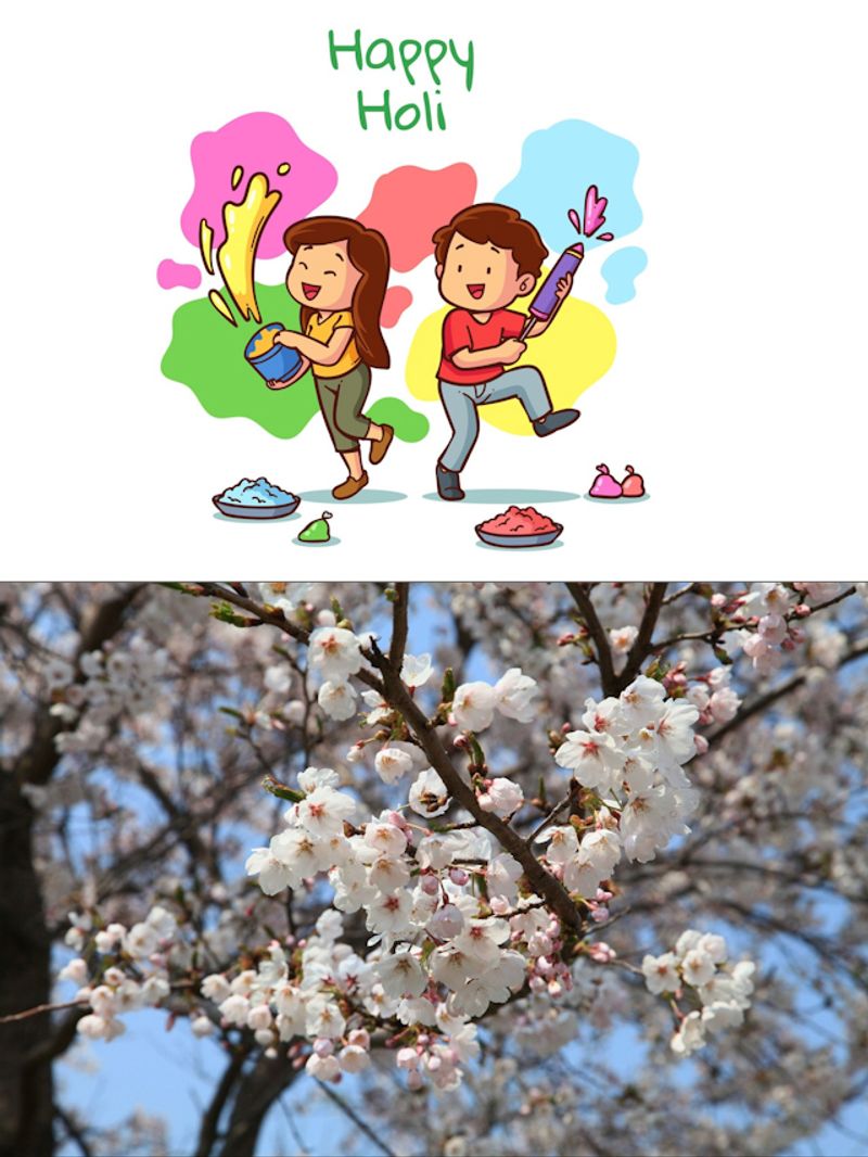 Holi to Cherry Blossom: 6 Spring festivals celebrated around the World
