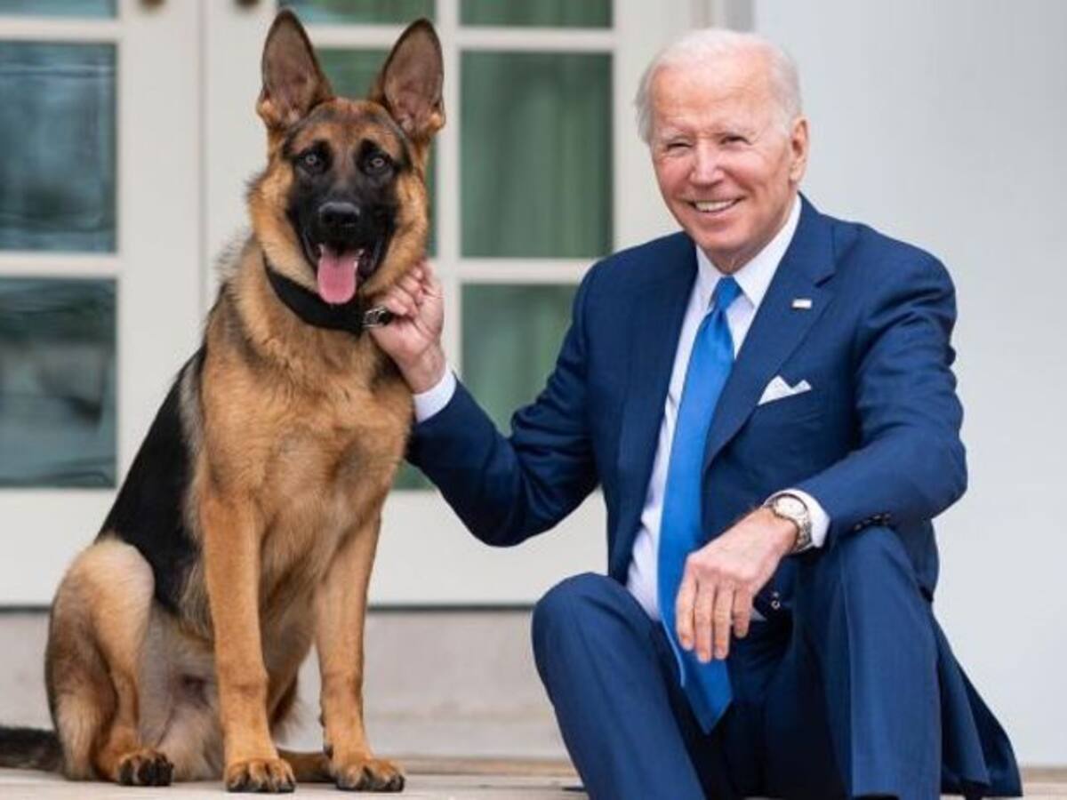 Feb 21 - commander biden......has bit secret service agents at least 24 ...