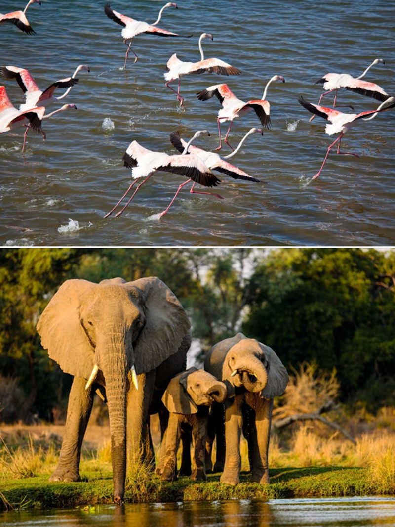 7 places to visit in Jamnagar