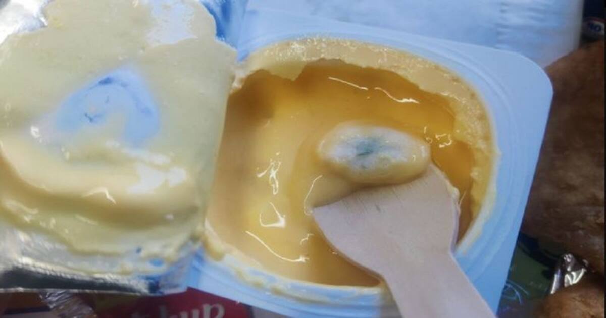 SHOCKING! Fungus-infested yoghurt served on Vande Bharat Express ...