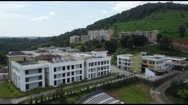 എ.ഐ, ഡാറ്റ സയൻസ് പഠിക്കാം; വർക്കിങ് പ്രൊഫഷണലുകൾക്കും പ്ലസ് ടു കഴിഞ്ഞവ ...