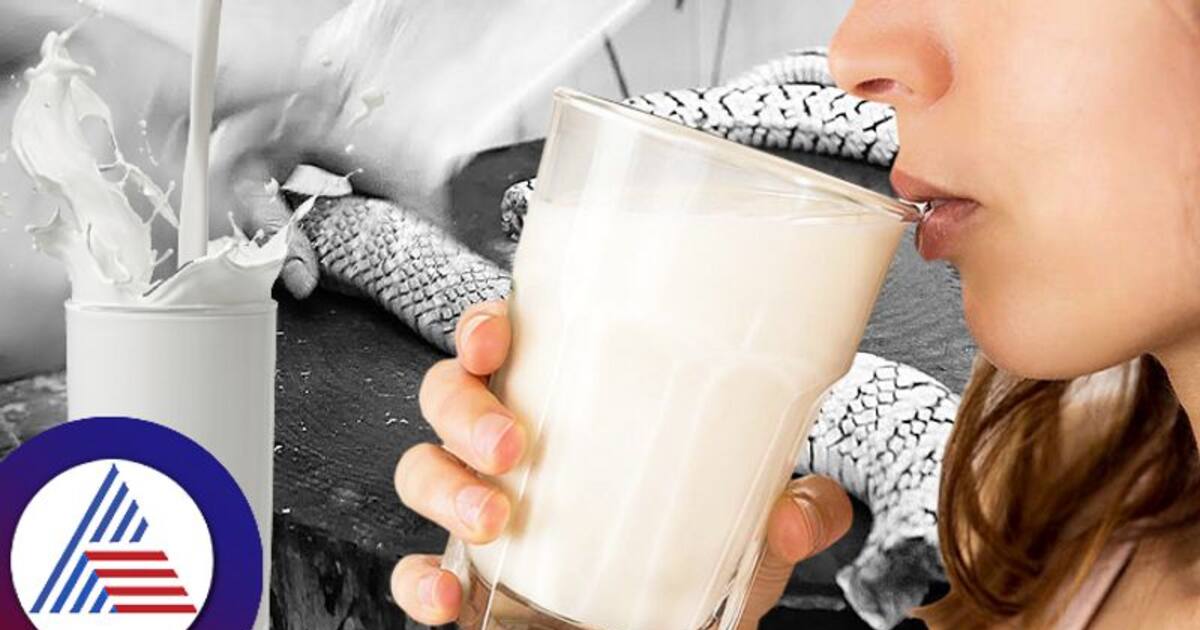 Milk Digestive System: ಹಾವು – ಇಲಿ ತಿನ್ನೋರಿಗೆ ಹಾಲು ಜೀರ್ಣಿಸಿಕೊಳ್ಳೇಕೆ ...