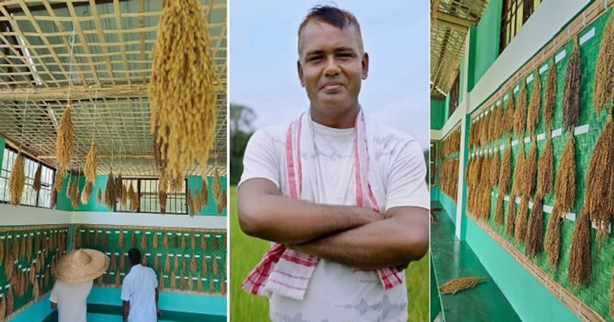 Seeding Hope with Seed Libraries: An inspiring journey of a local ...