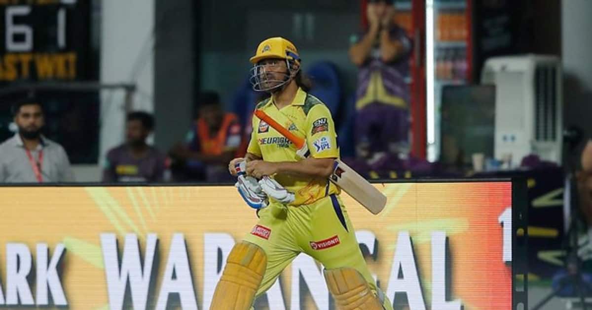 Inside MS Dhoni's expansive business empire: From Cricket field to ...