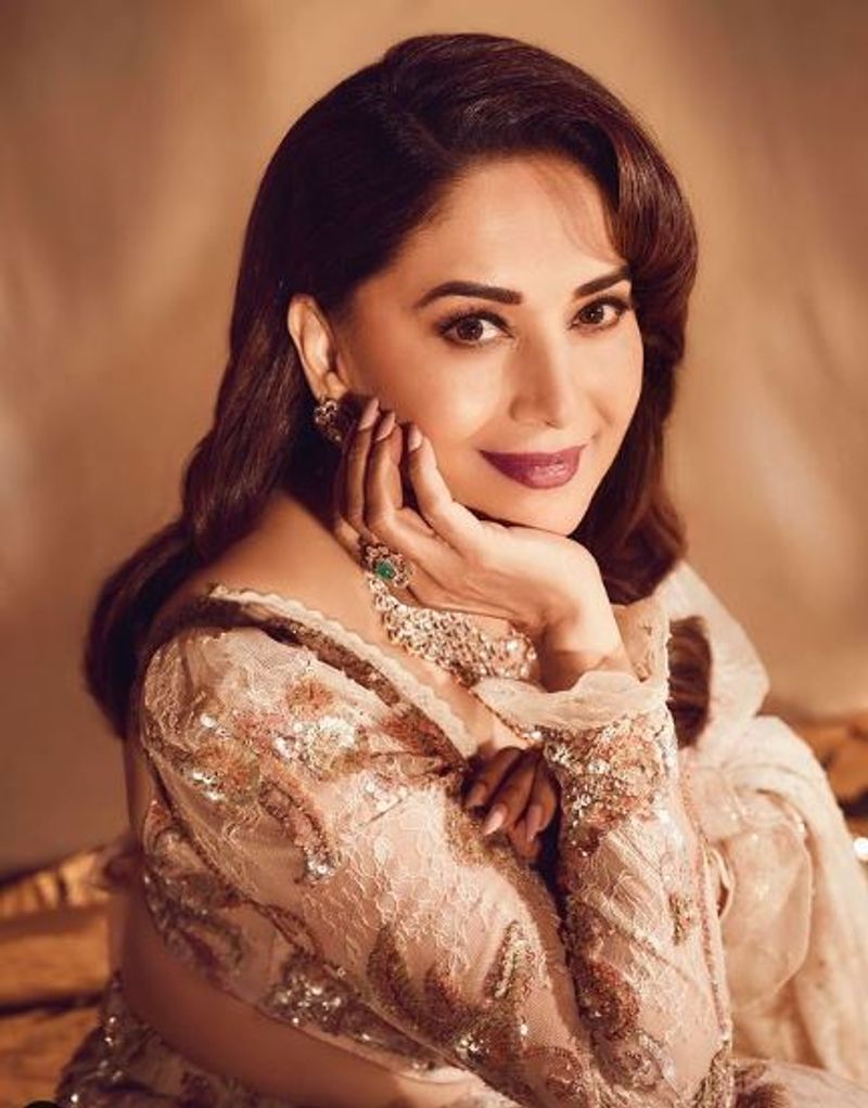 Madhuri Dixit’s Luxurious Lifestyle: Private Jet, Net Worth and more