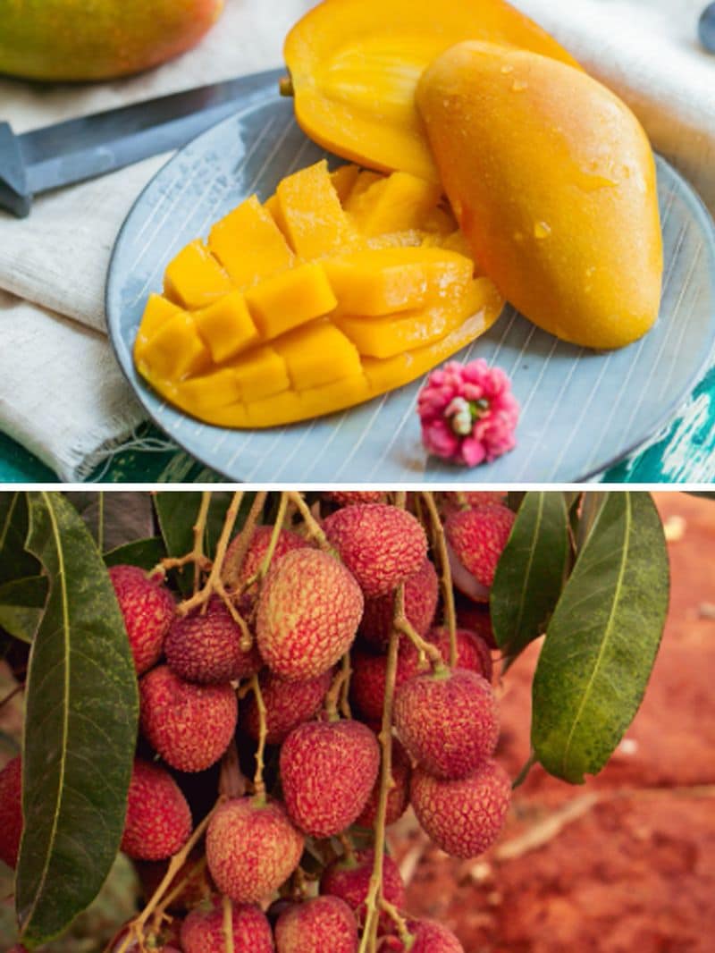 Mango to Lychee: 7 delicious sweet summer fruit you must eat
