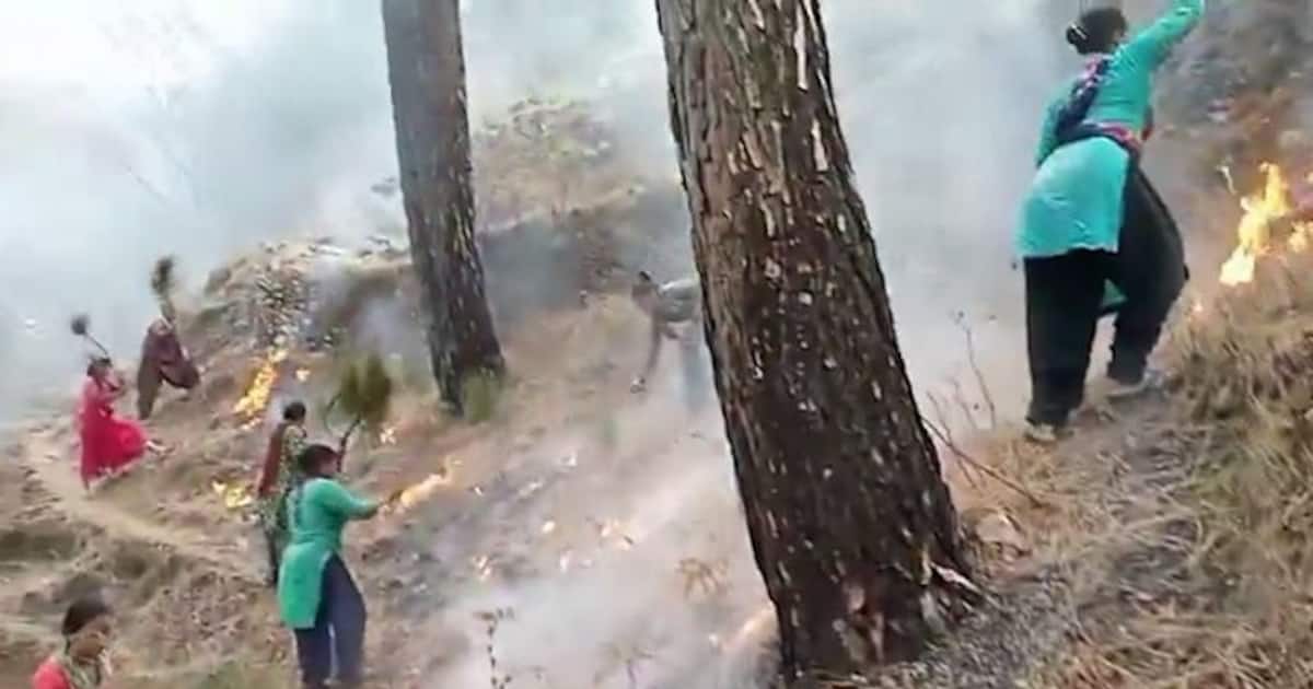 Uttarakhand forest fires: Locals try to douse raging flames as 47 new ...
