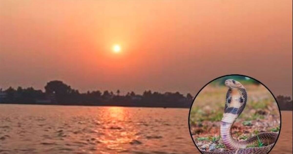 Miracle ಆಗುವ beliefs : snake bitten ಮೃತನಾದ ಯುವಕನ Dead Body 2 ದಿನ River ...