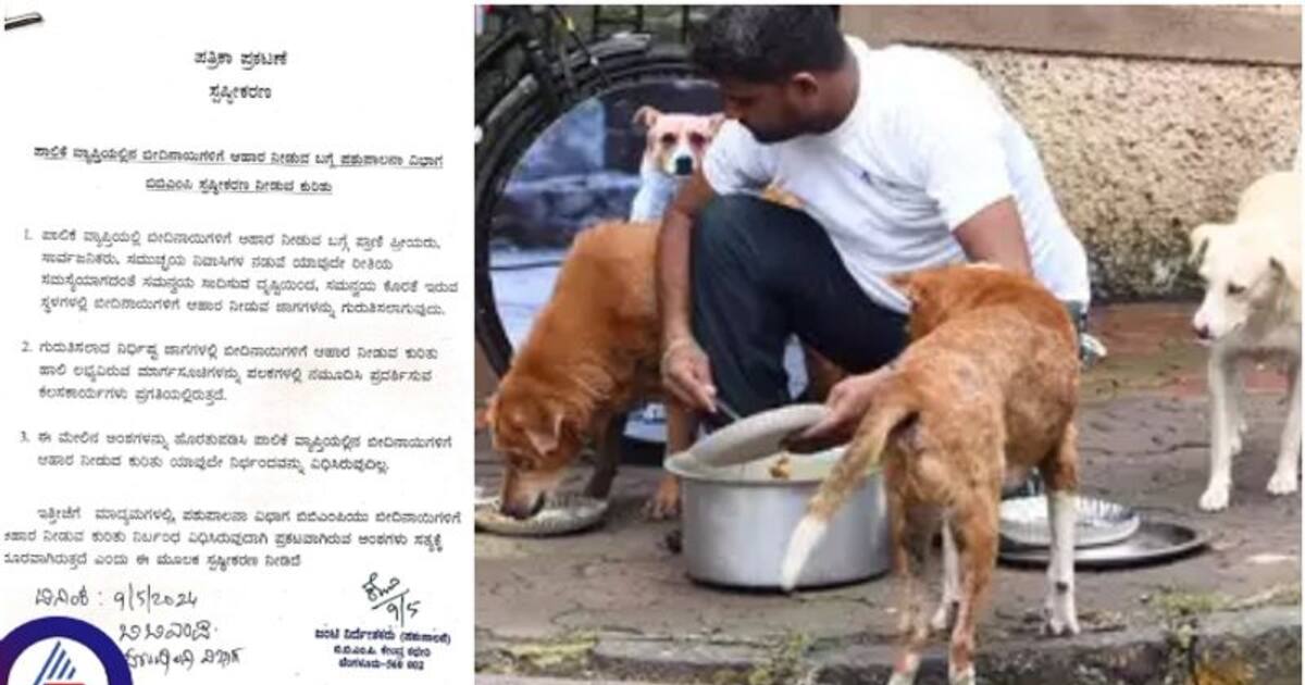 No restrictions on feeding stray dogs in Bengaluru, clarifies BBMP