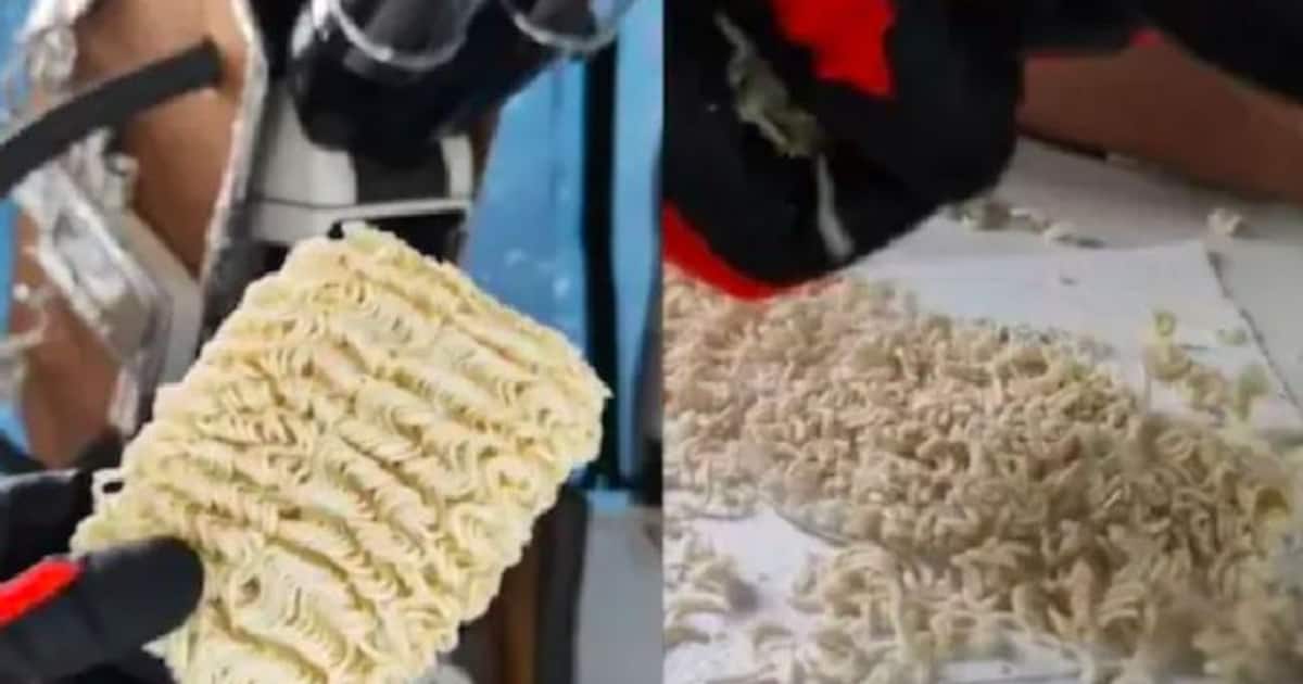 Microscopic Examination Of Instant Noodles Reveals Hidden Organisms