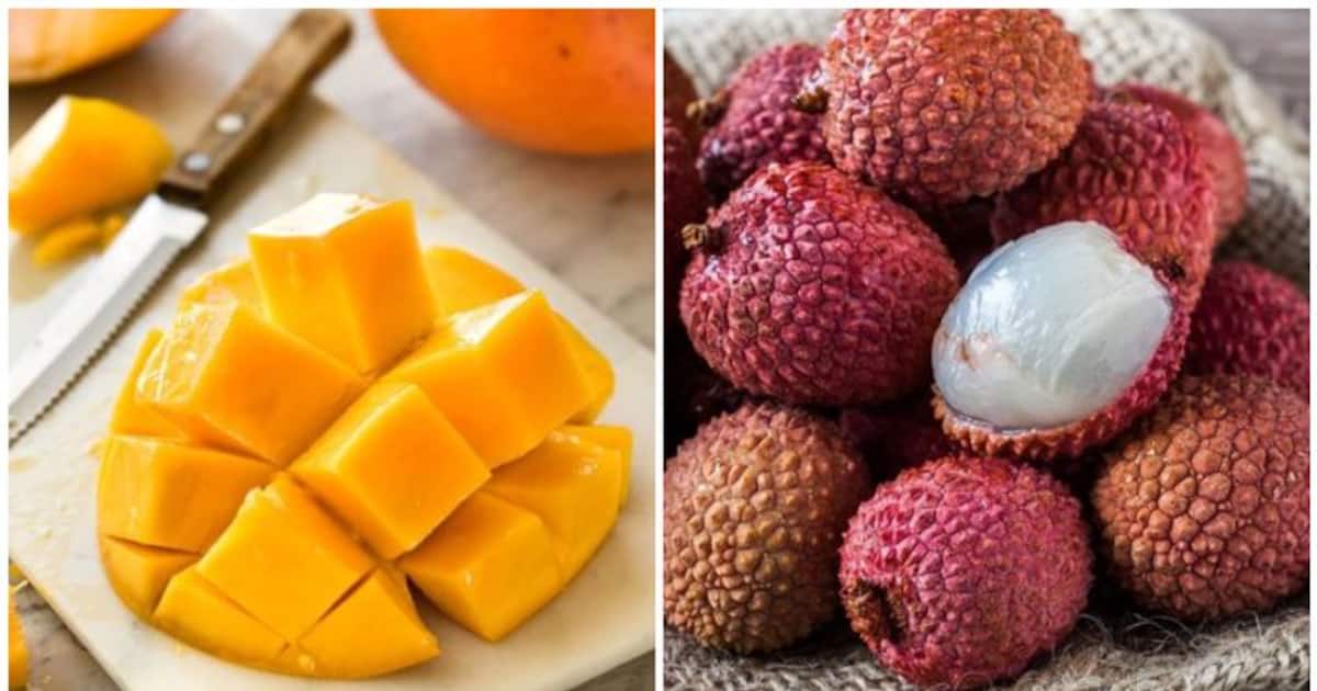 Mango to Litchi: 5 Refreshing Indian summer fruits and their health ...