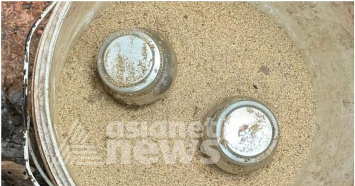 Kerala: Two more steel bombs recovered in Kannur days after explosion ...