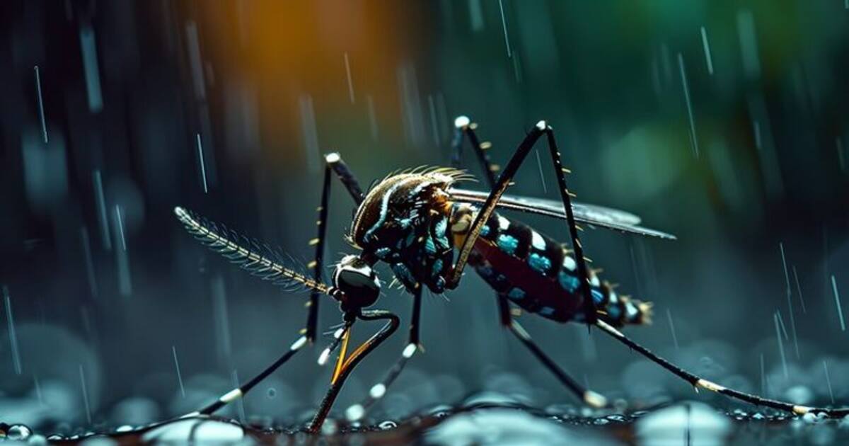 How to protect yourself from Dengue during monsoon season
