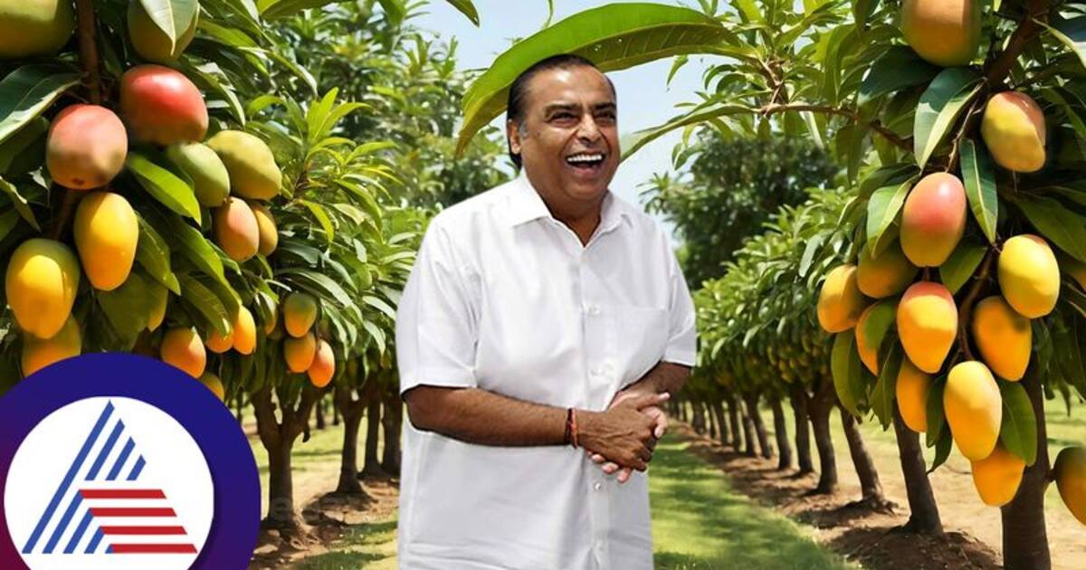 mukesh ambani owns the largest mango Farm ಪ್ರಪಂಚದ ಅತಿದೊಡ್ಡ ಮಾವು ಬೆಳೆಗಾರ ...