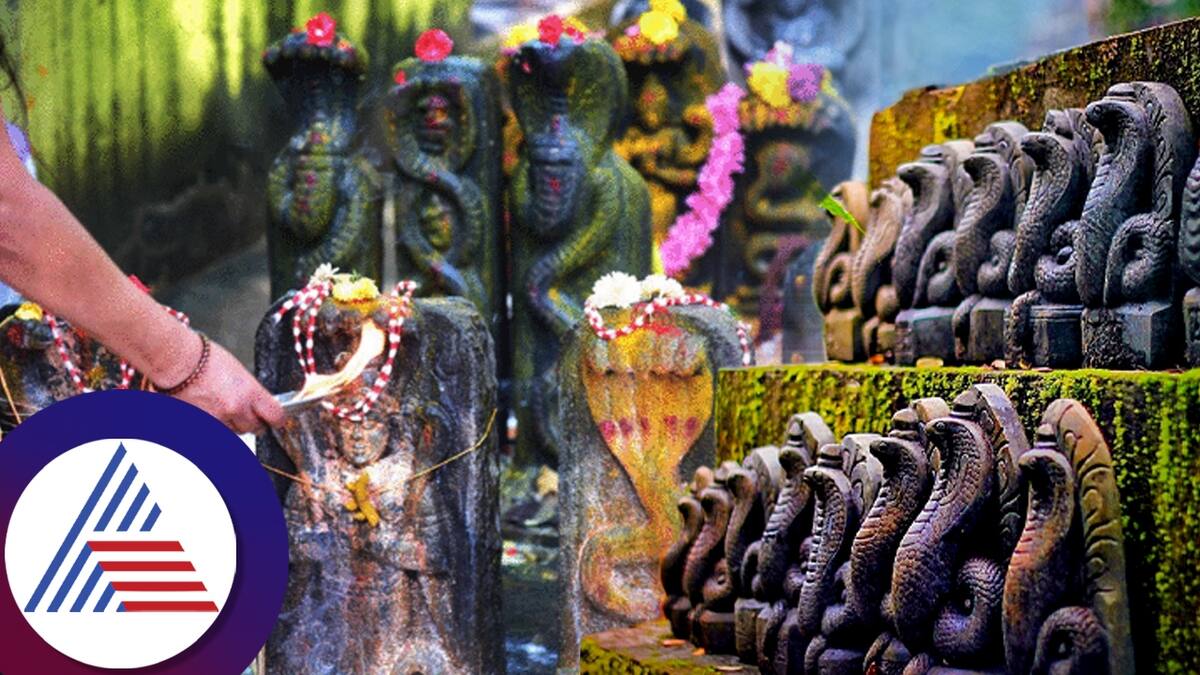 Why is Nagara Panchami celebrated, Know the auspicious time and ...
