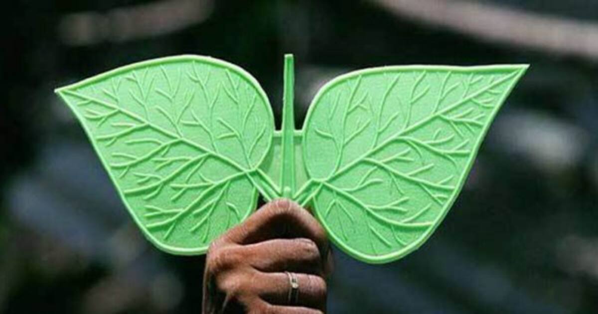 உதிர்ந்து உதிர்ந்து மலர்ந்த இரட்டை இலை.. துளிர்த்த கதை தெரியுமா..?