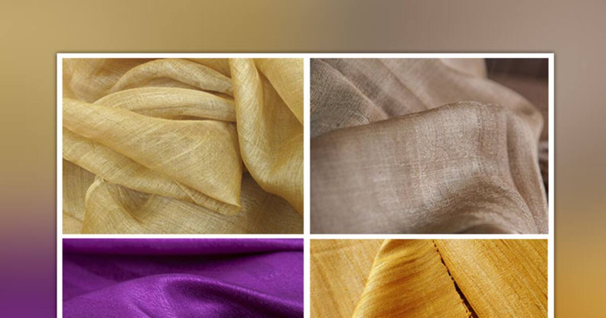 Five exotic silk varieties from India