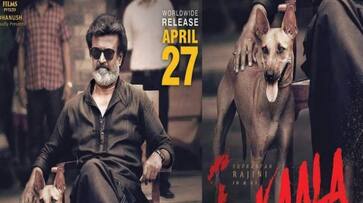 ரஜினியுடன் நடித்த தெரு நாயின் மதிப்பு எவ்வளவு தெரியுமா? கோடி கோடியாக ...