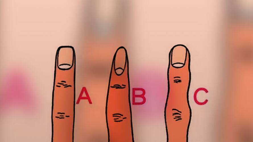 The shape of your fingers reveals your personality