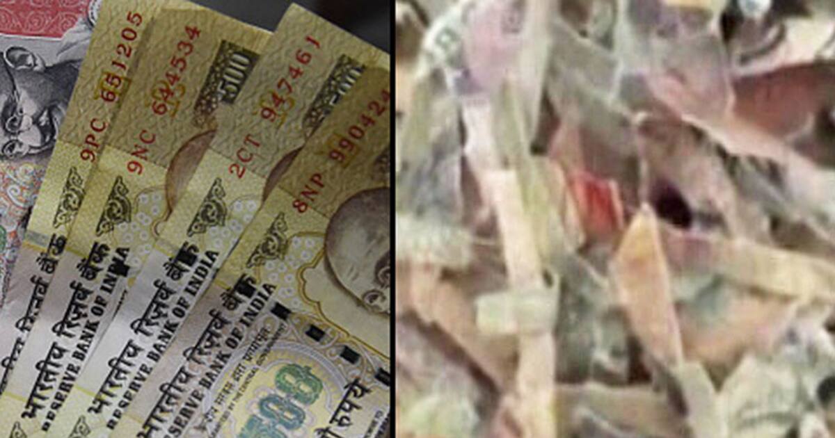 Cut, crushed and burnt: ₹500 and ₹1000 notes