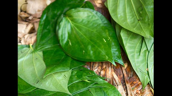 5 unexpected benefits of paan leaves