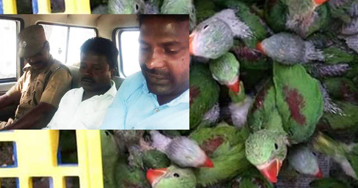 Shocking: Karnataka releases poacher after one phone call