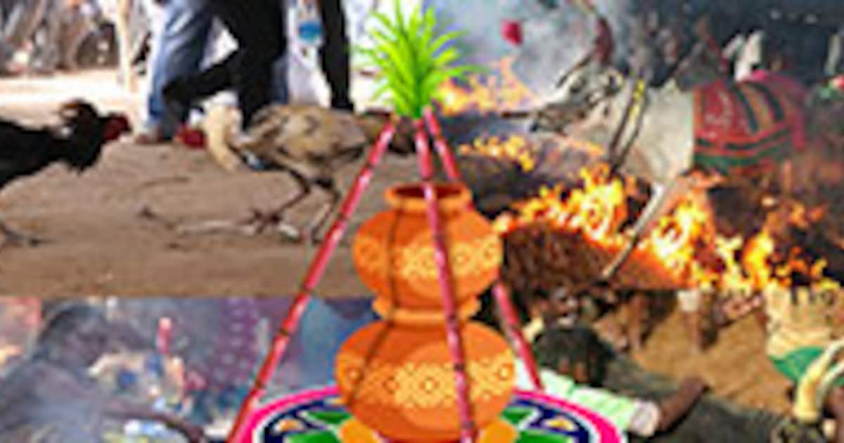 ముక్కనుమ రోజు... ప్రయాణం చేయొచ్చా..? | Mukkanuma 2020: Fourth Day of ...