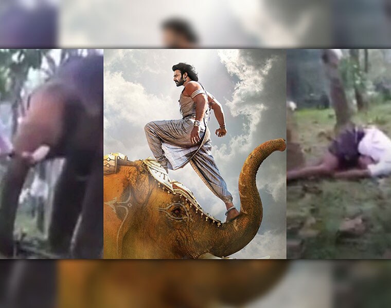 This Kerala youth's Baahubali elephant stunt on FB Live should be a ...