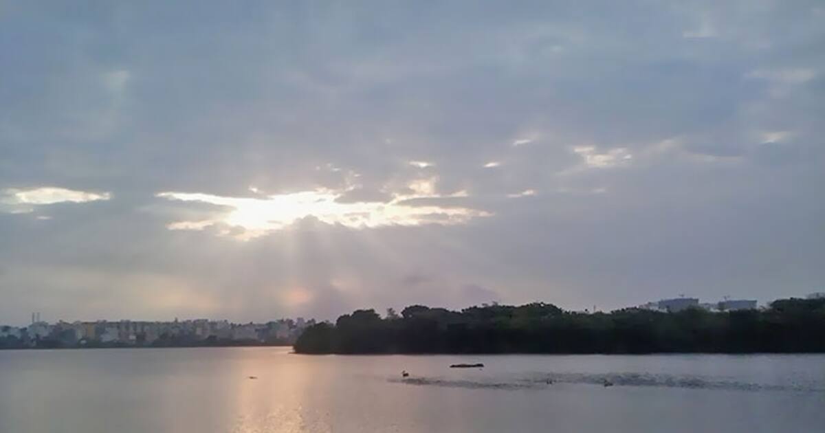 Bengaluru's Madivala lake to become South India's first biodiversity park