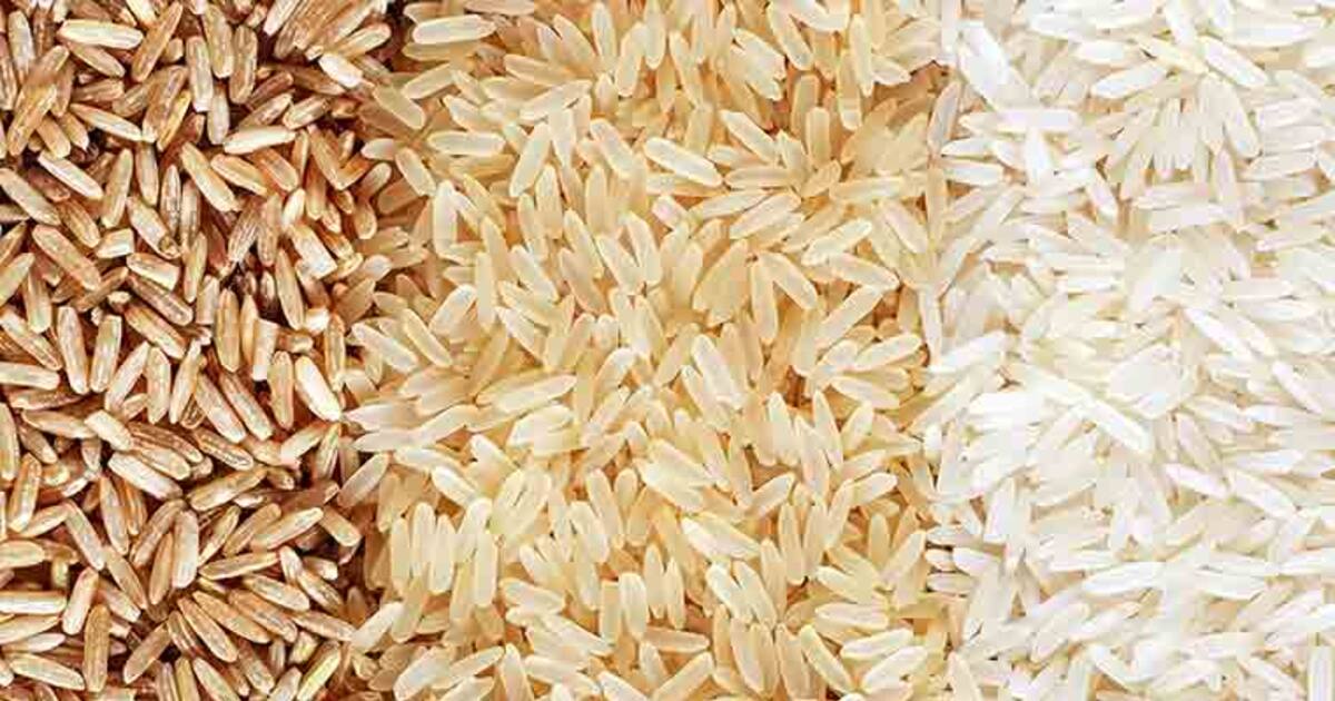 identify plastic rice