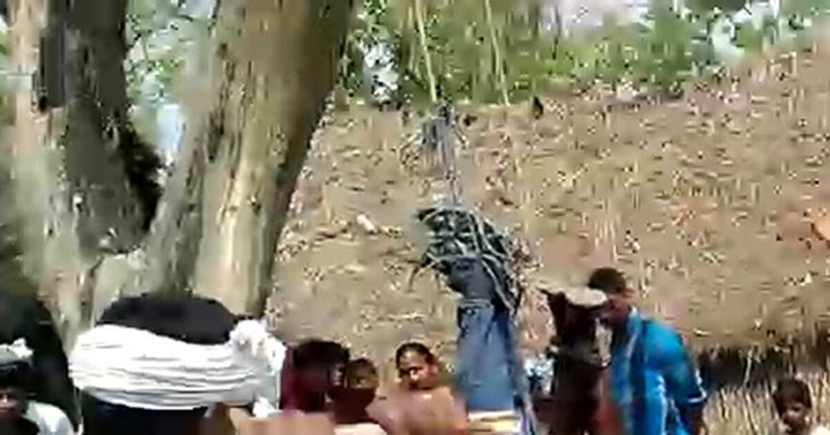 These two youngsters were hung upside down and brutally beaten